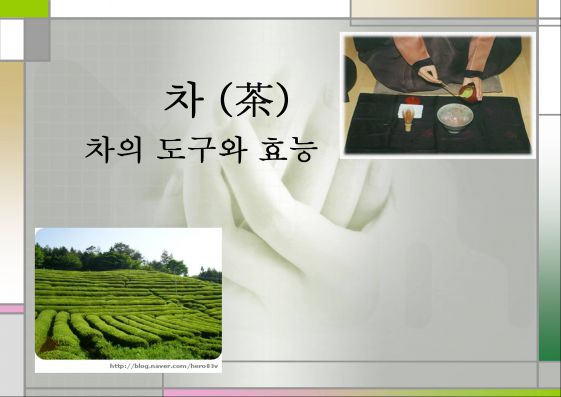 차(茶, 차의도구와 효능, 차나무, 차의분류, 덖음차, 증제차, 녹차의재취, 차의성분과효능, 차의도구) PPT, 파워포인트 발표