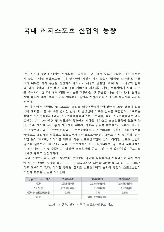 국내 레저 스포츠산업 동향