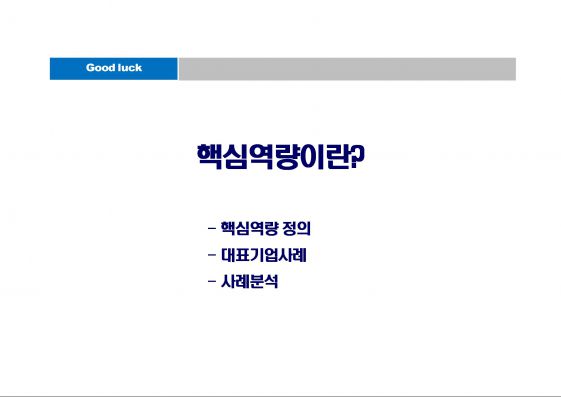핵심역량분석