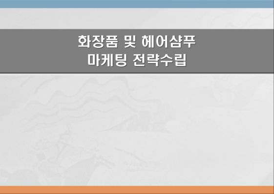 화장품 및 헤어샴푸 마케팅전략수립