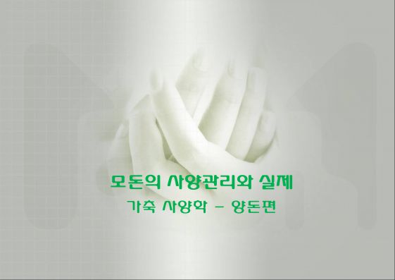모돈의 사양관리와 실제(가축사양학, 돼지기르기, 양돈, 돼지의품종, 돼지의모든것, 양돈생산성)PPT, 파워포인트