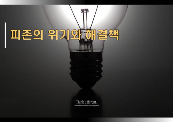 피존의 위기와 해결책.ppt
