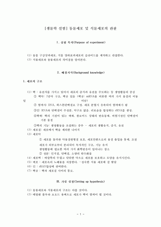 [생물학 실험]동물세포 및 식물세포의 관찰