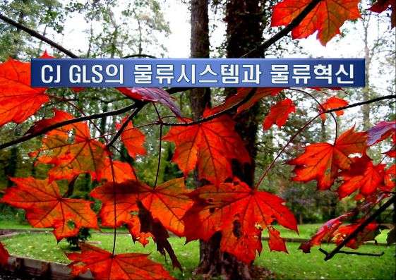 CJ GLS의 물류시스템과 물류혁신 ppt