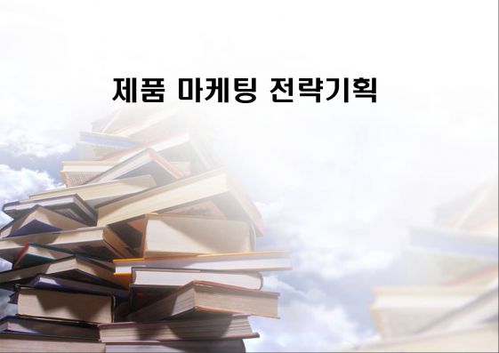 제품 마케팅 전략 기획