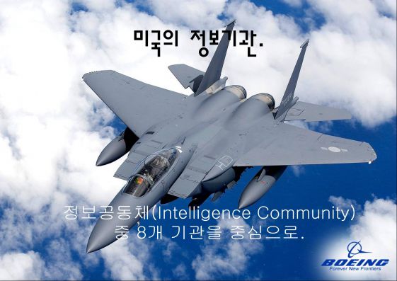 미국의 정보기관 프리젠테이션