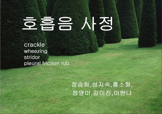호음음 사정ppt 자료