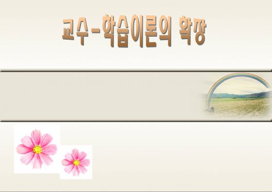 교수- 학습이론의 확장(PPT요약)