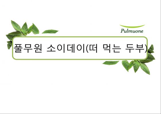 풀무원- 소이데이 마케팅전략