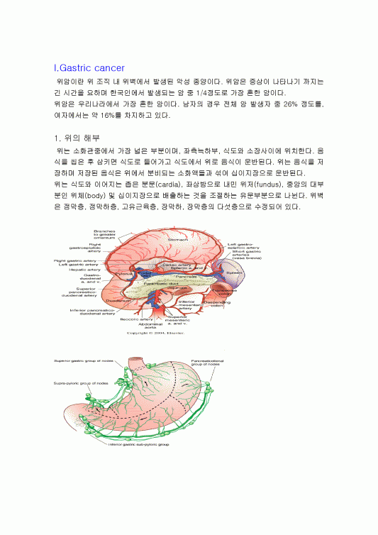 위암 케이스 [분석/조사]