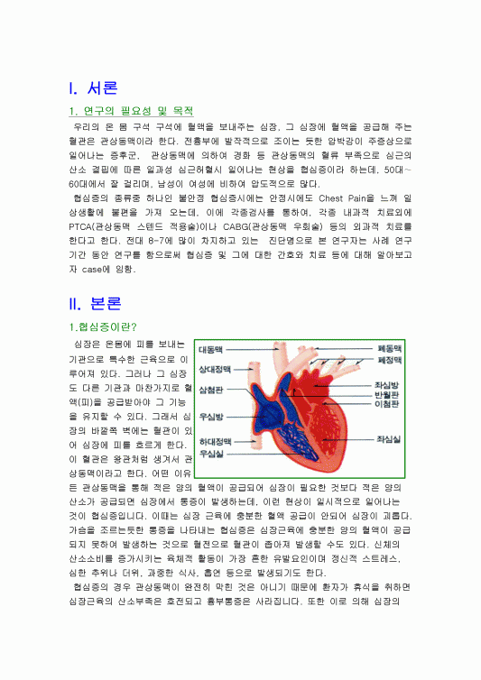 협심증 환자 케이스로 많은 그림과 함께 작성