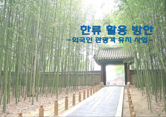 한류 활용 방안 - 외국인 관광객 유치 사업.pptx