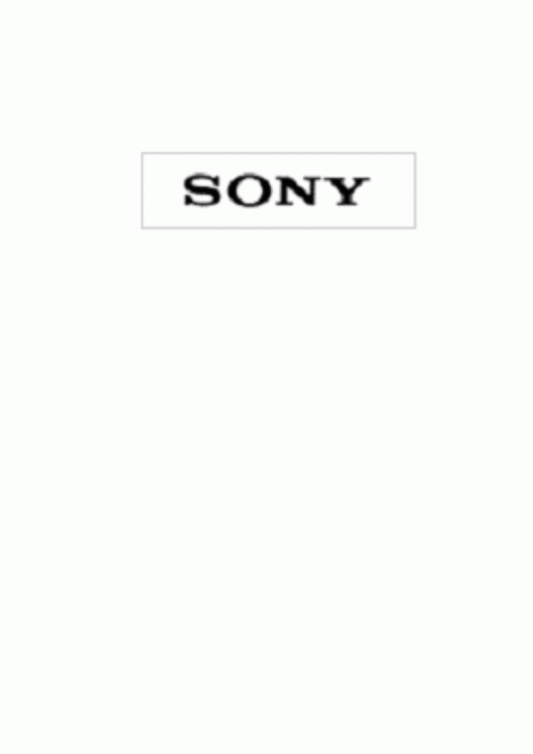 sony (소니) 레포트 자료