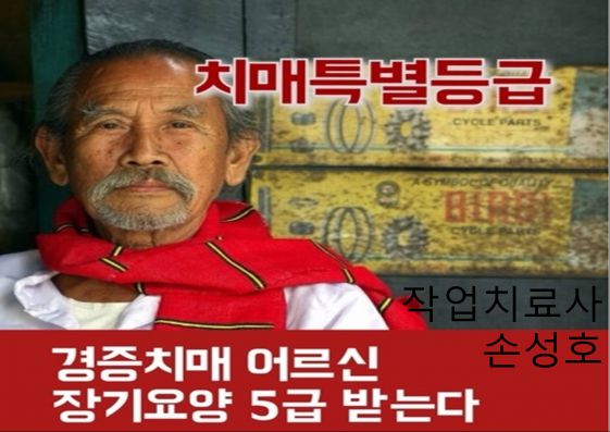치매특별등급