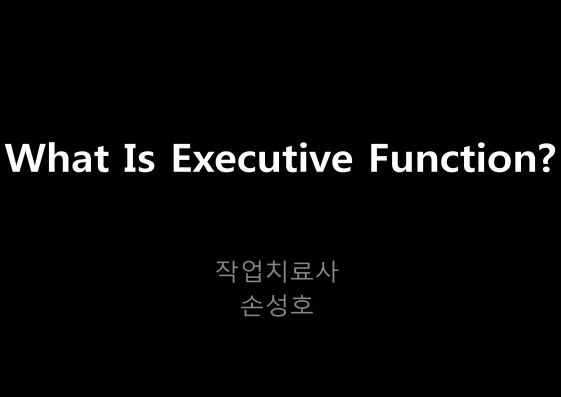 집행기능 레포트 자료