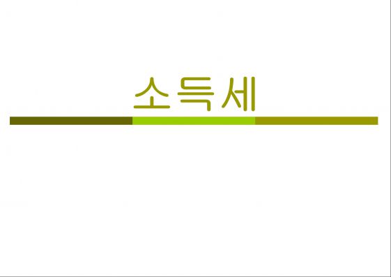 소득세 ppt 레포트 자료