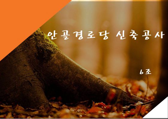 안골경로당 신축공사 - 공정표.pptx