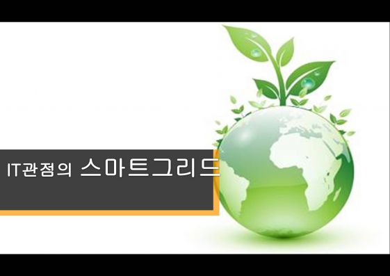 IT관점의 스마트그리드-스마트그리드 란,패러다임의 변화,브랜드마케팅,서비스마케팅,글로벌경영,사례분석,swot,stp,4p