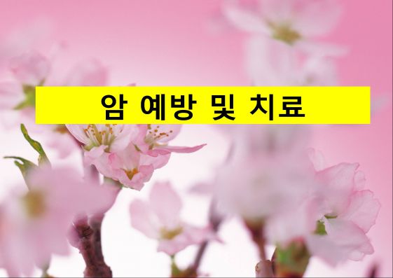 암예방_및_치료