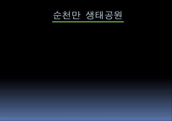 순천만 생태공원 (순천만 생태공원 경과, 정책참여자들의 가치관, 정책과정의 영향력 행사자, 정책 결정자들을 제한하는 환경).pptx
