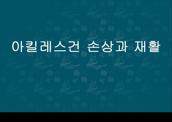 아킬레스건 손상과 재활