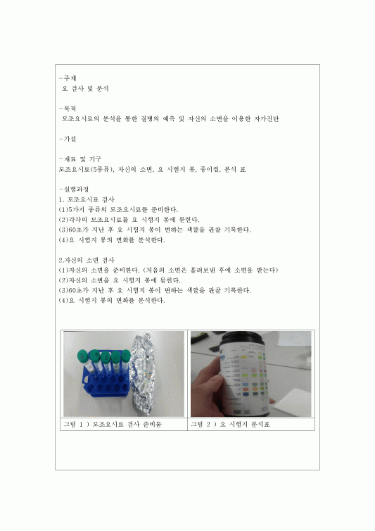 [진단검사학] 요시료 검사 : 요 검사 및 분석 (모조요시료의 분석을 통한 질병의 예측 및 자신의 소변을 이용한 자가진단)