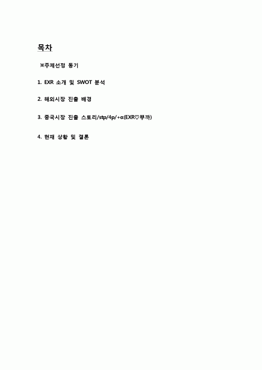 [다국적기업론] EXR