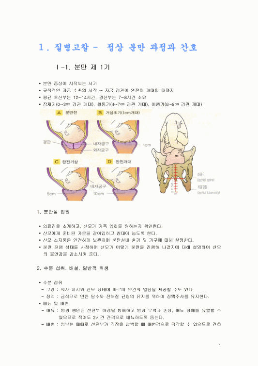 여성간호학실습 자연분만 질분만 NSVD 케이스스터디