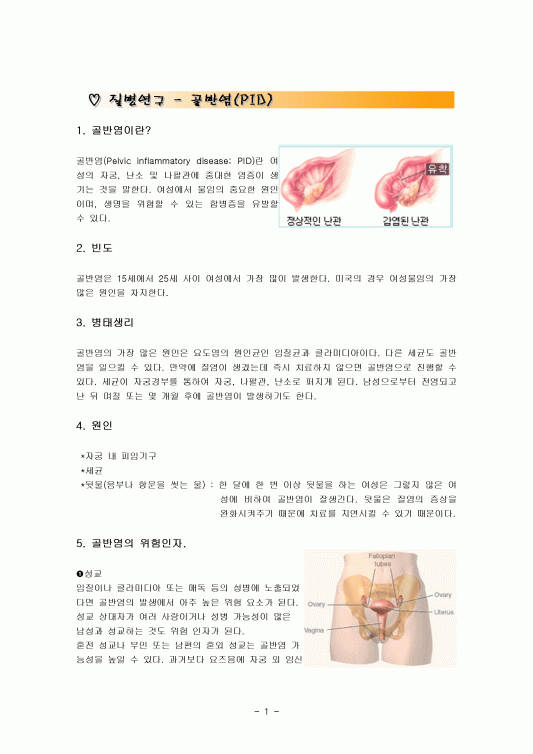 여성간호학실습 골반염 PID 케이스스터디