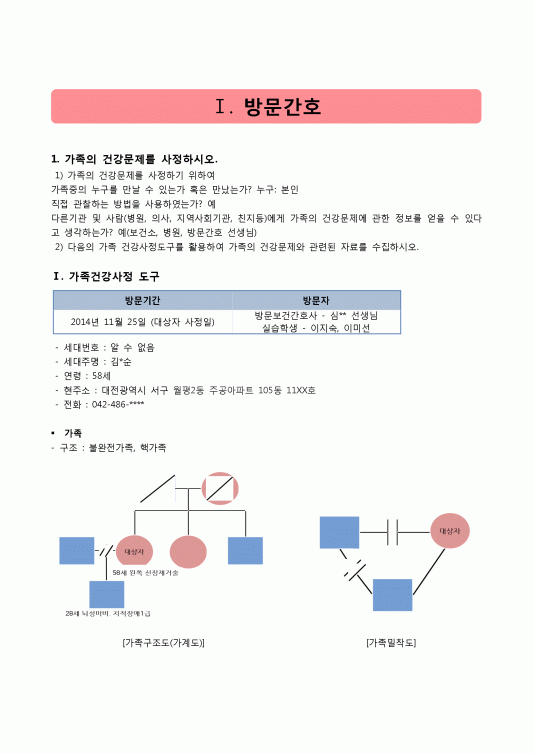 [지역사회간호학] 보건소 방문간호 케이스 (방문간호, 간호과정)