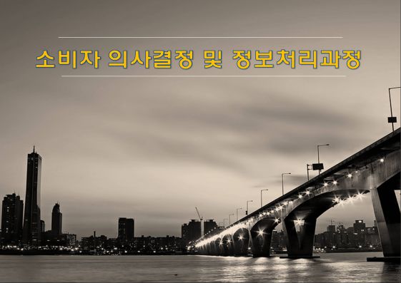 소비자 의사결정 및 정보처리과정 (지각도와 포지셔닝, 소비자 의사결정과정, 소비자 정보처리과정, STP 분석).ppt