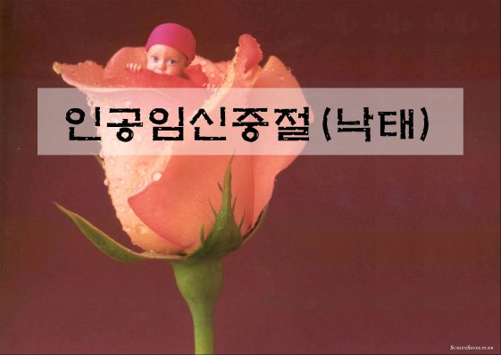 인공임신중절(낙태).PPT