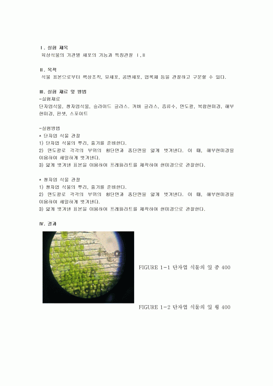 세포생물학 - 육상식물의 기관별 세포의 기능과 특참찰