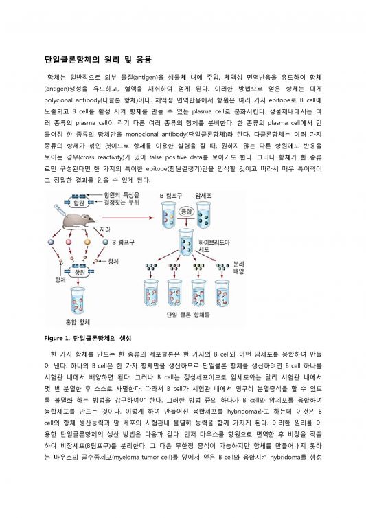 면역학 - 단일클론항체의 원리 및 응용