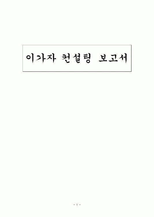 이가자 컨설팅 보고서