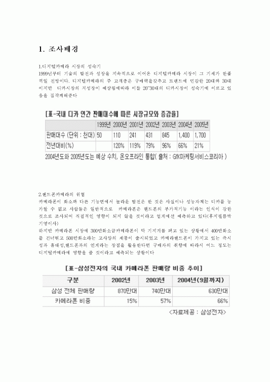 올림푸스(Olympus)의 향후 마케팅 전략 [디지털카메라 시장의 성숙기]