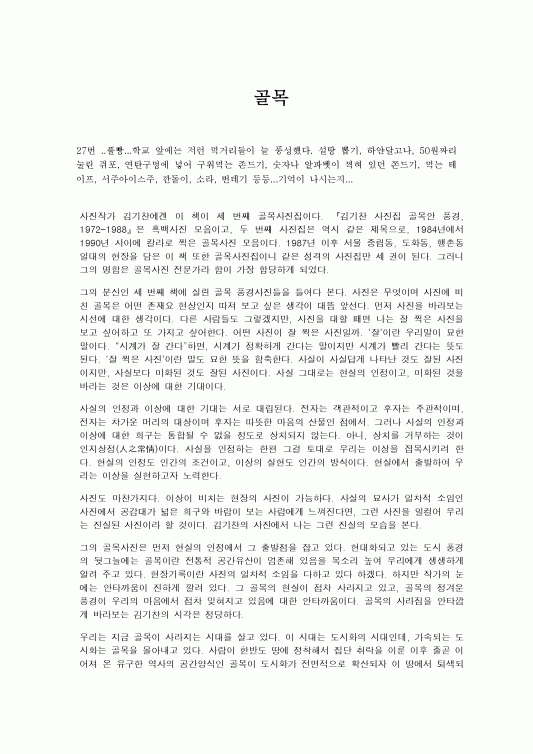 골목사진집 레포트 자료