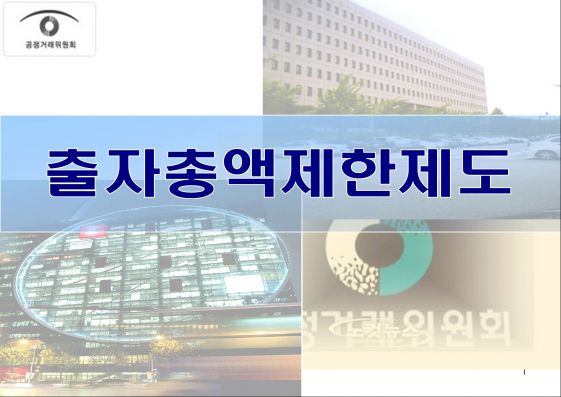 출자 총액 제한제도