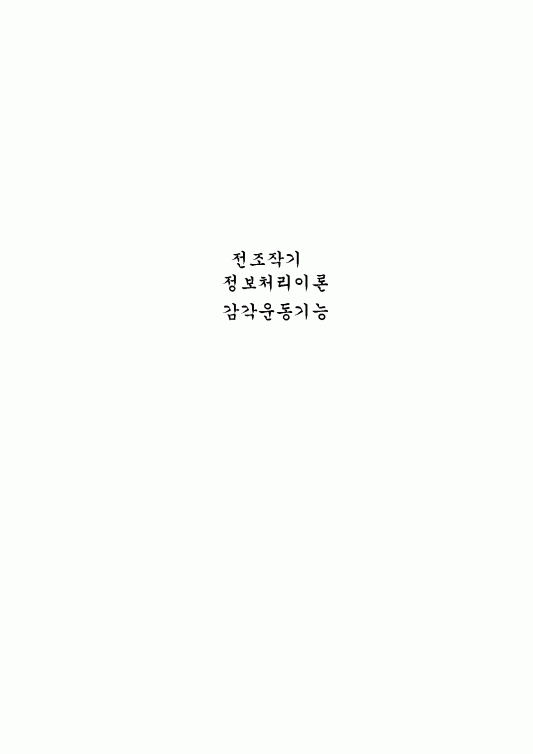 전조작기 정보처리이론 감각운동기능