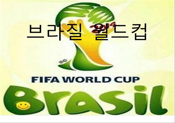 월드컵조사 - 브라질 월드컵에 대해서