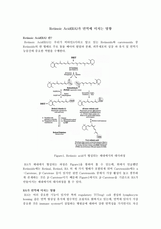 [의학] 레티노산 Retinoic Acid(RA)가 면역에 미치는 영향