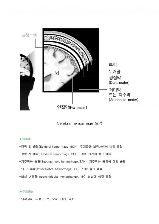 의학 - 뇌출혈에 모든것