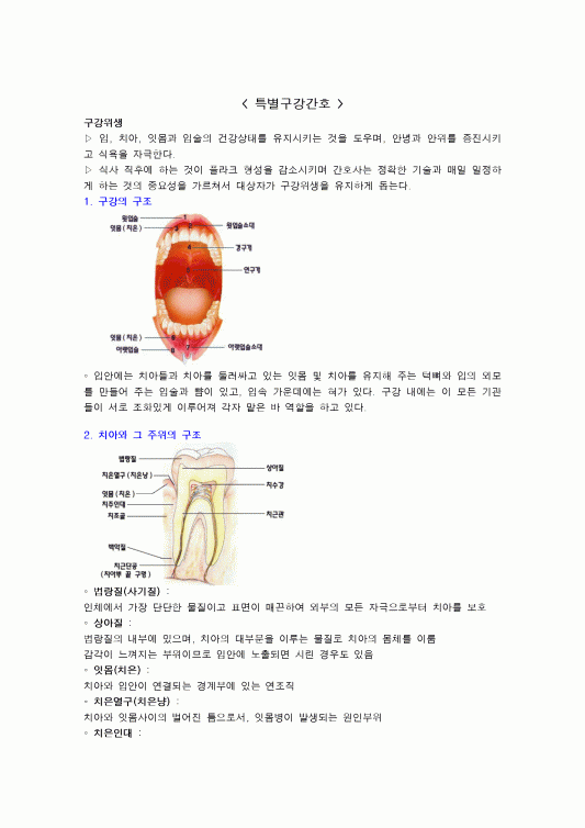 특별구강간호
