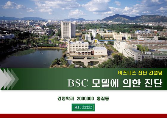 BSC 모델에 의한 진단