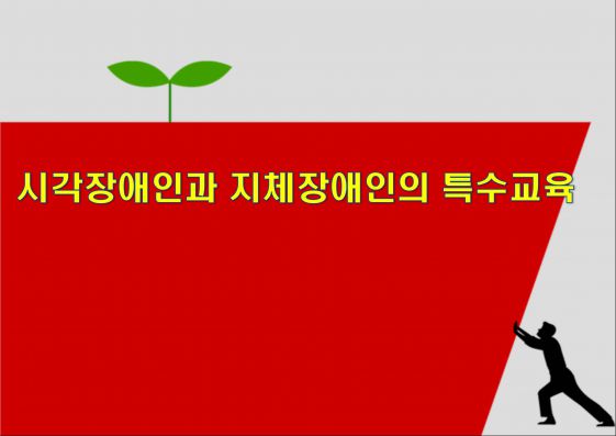 시각장애인과 지체 장애인의 특수교육