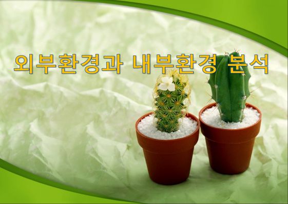 외부환경과 내부환경 분석 {환경분석 정의, 외부환경분석, SWOT분석(APPLE 사례), 경쟁자 분석, 고객/인터넷 사용자 분석, 내부환경 분석}.ppt