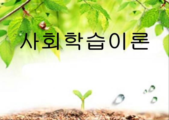 사회학습이론,교수학습,반두라,반두라연구,사회학습,교육,사회교육(2)