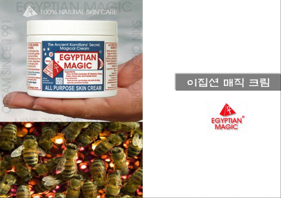 화장품 상품제안서(이집션 매직크림)