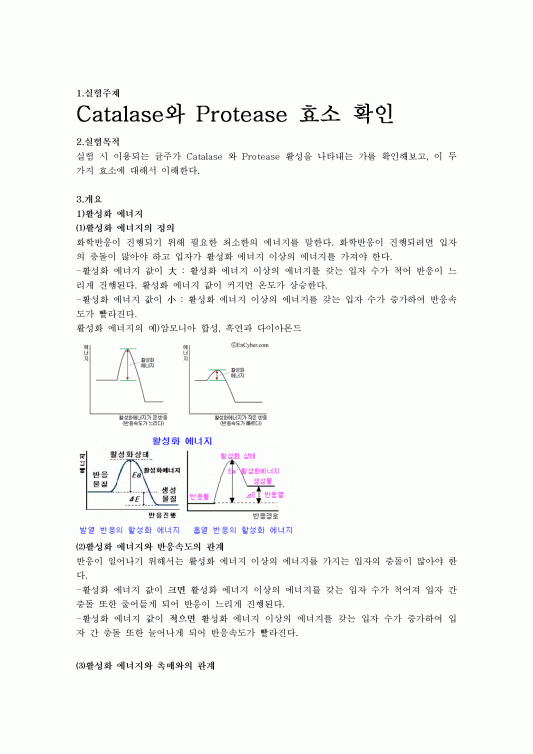 06.catalase와 protease 효소 확인 : 실험 시 이용되는 균주가 Catalase 와 Protease 활성을 나타내는 가를 확인해보고, 이 두 가지 효소에 대해서 이해한다.