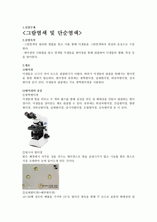 3.그람염색 및 단순염색 그람염색의 원리와 방법
